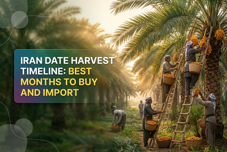 Iran Date Harvest Timeline: Best Months to Buy and Import | Amin Farms